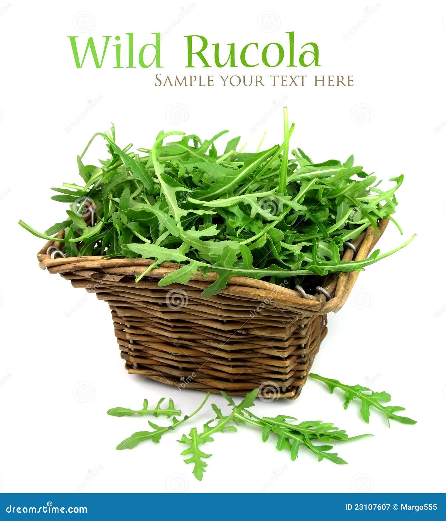 Wild rucola stock image. Image of lettuce, heap, white - 23107607