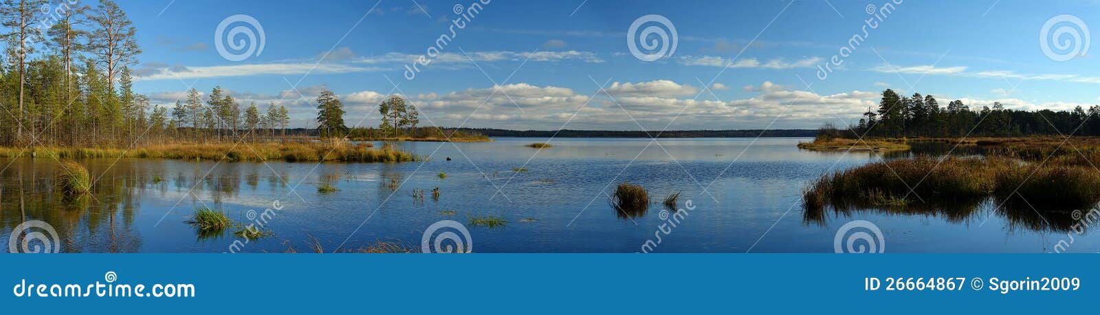 Wild Russian landscape. stock image. Image of forest - 26664867
