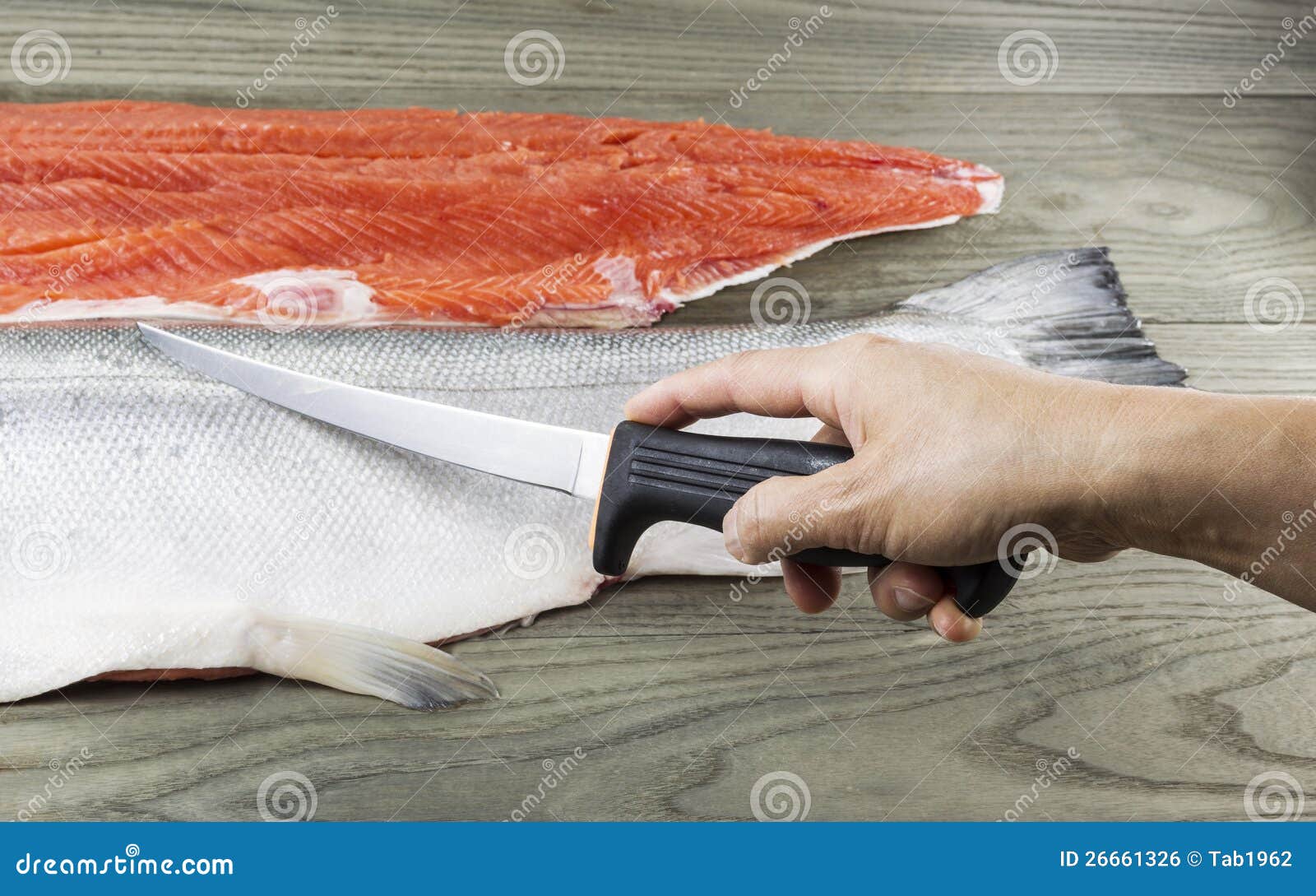 Wild Salmon Being Fillet Stock Photography | CartoonDealer.com #26661326