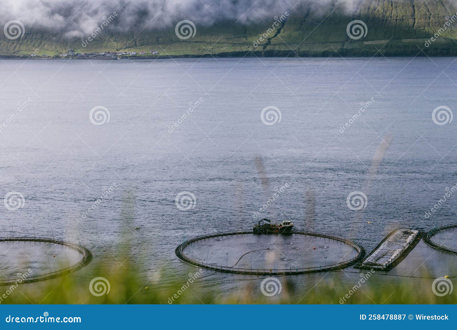 Salmon Farming Cages Royalty-Free Stock Photo | CartoonDealer.com ...