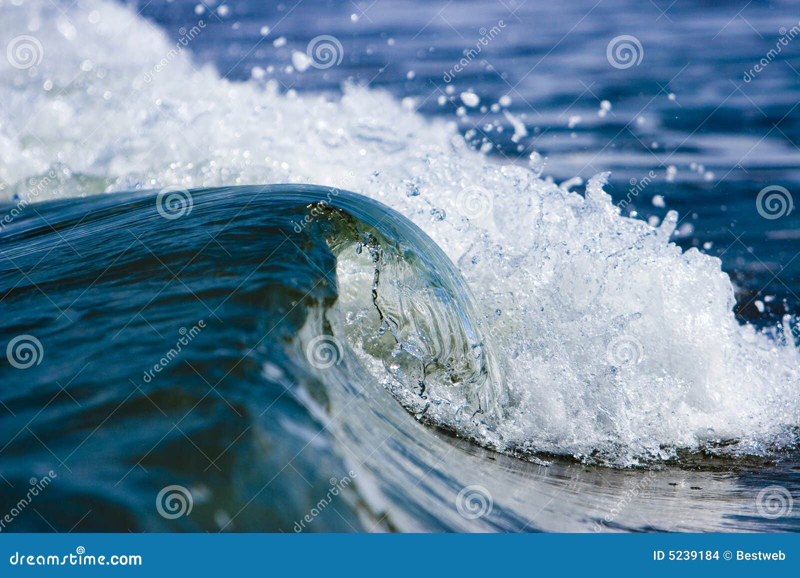 Wild sea wave stock photo. Image of fine, paradise, glint - 5239184