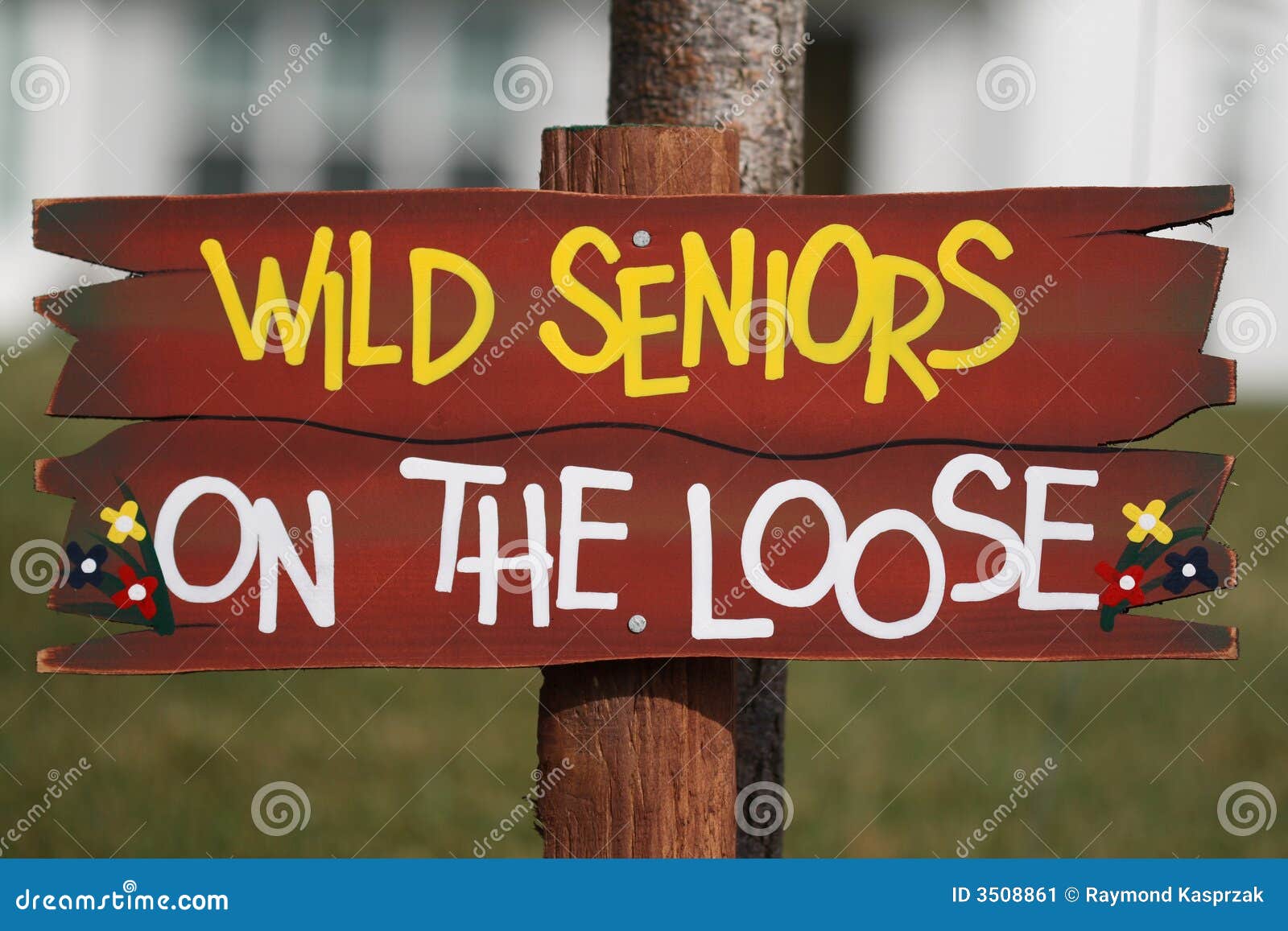 Wild Seniors on the Loose stock image. Image of funny - 3508861