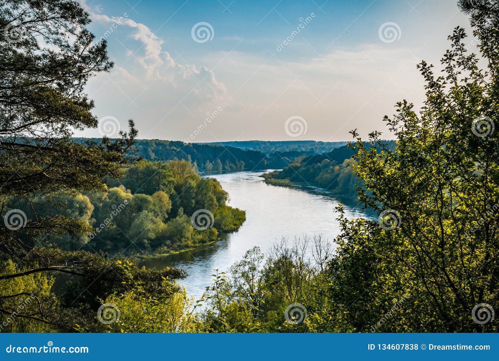 Wild Silent River Neman. Summer Forest River Water Panorama. Forest ...