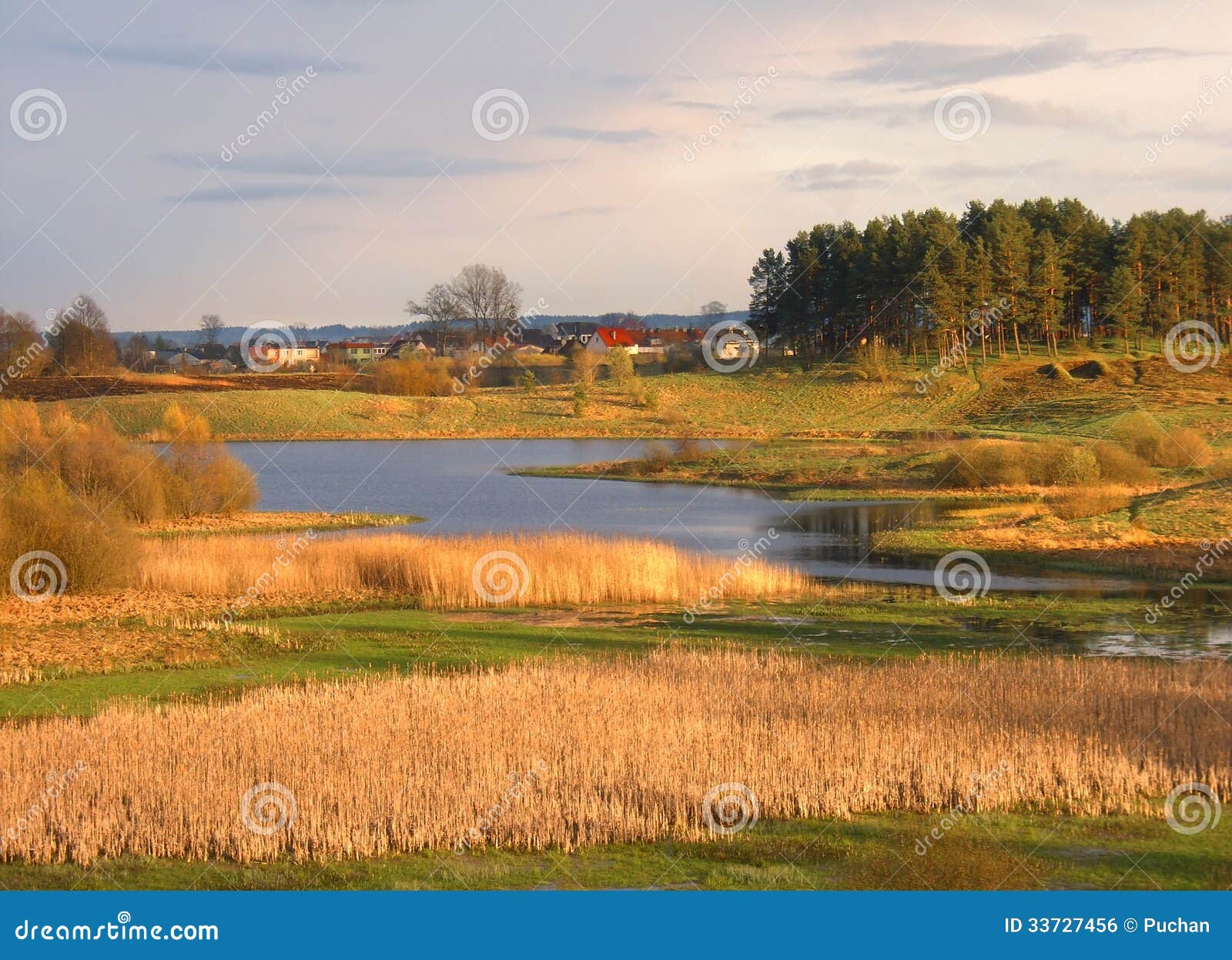 Wild spring landscape stock photo. Image of landscapes - 33727456