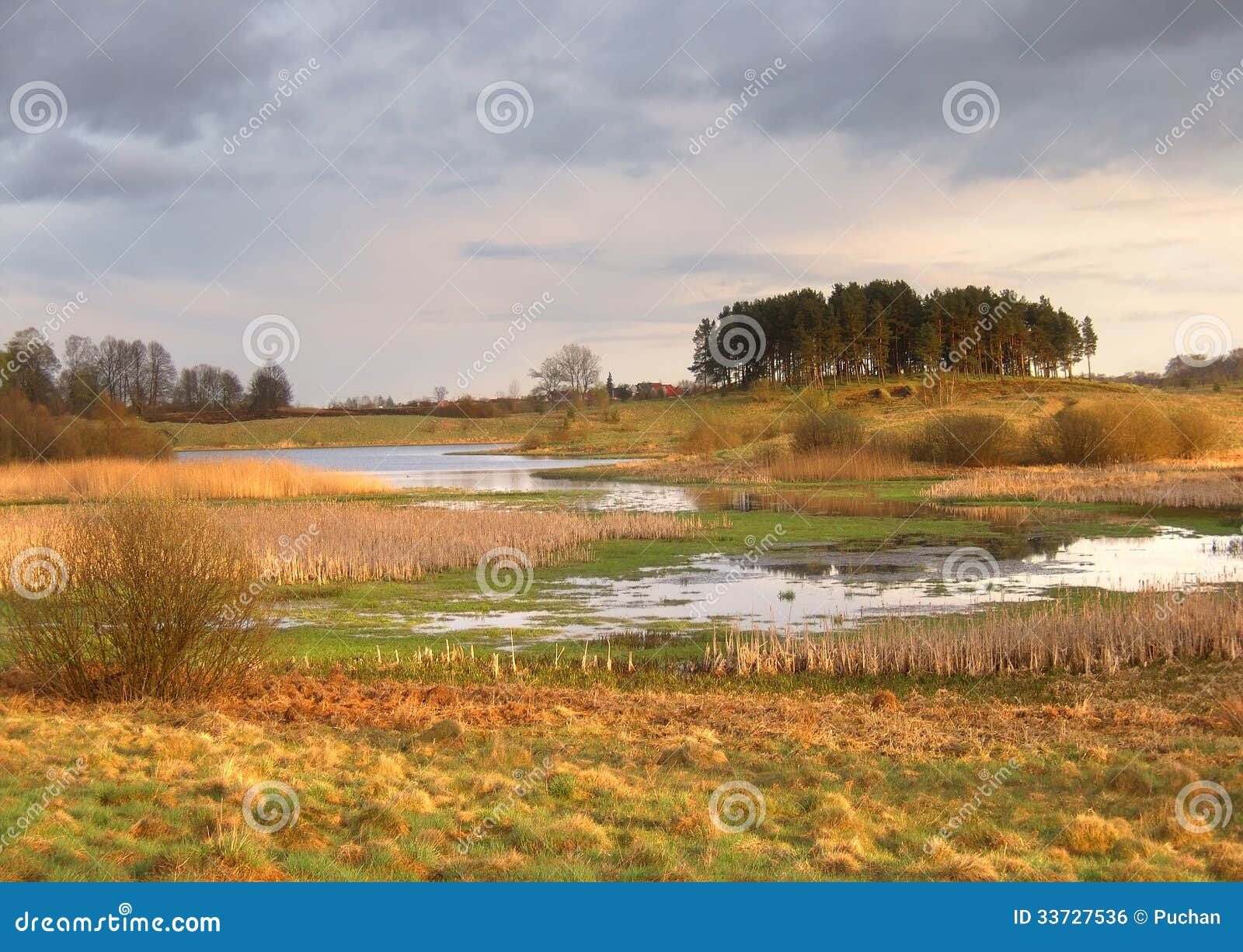 Wild spring landscape stock photo. Image of wild, clouds - 33727536