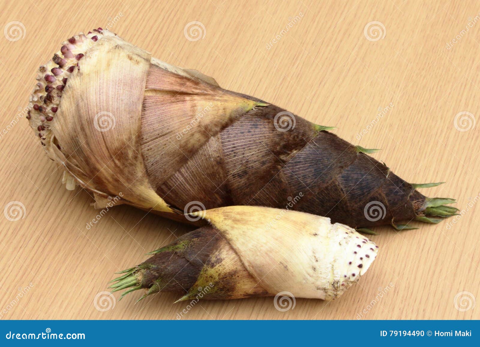 Wild Spring of Spring, Bud of Cod Stock Photo - Image of wild, edible ...