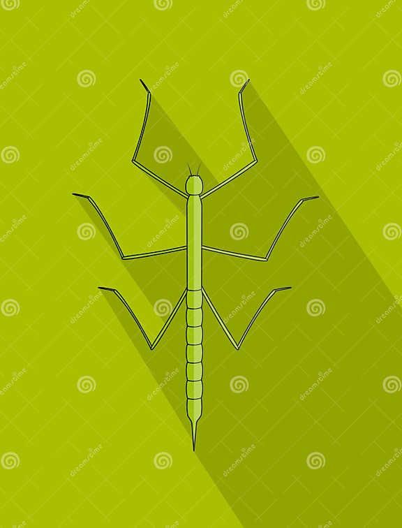Wild Stick Insect stock vector. Illustration of centipede - 94293284