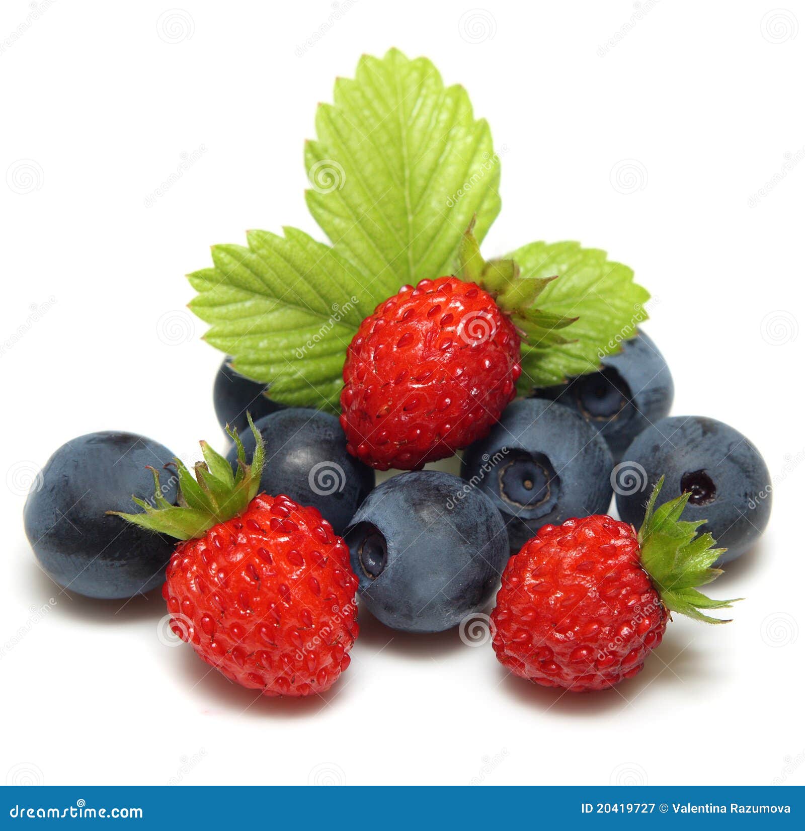 Wild Strawberry and Blueberry Stock Image - Image of eating, berry ...