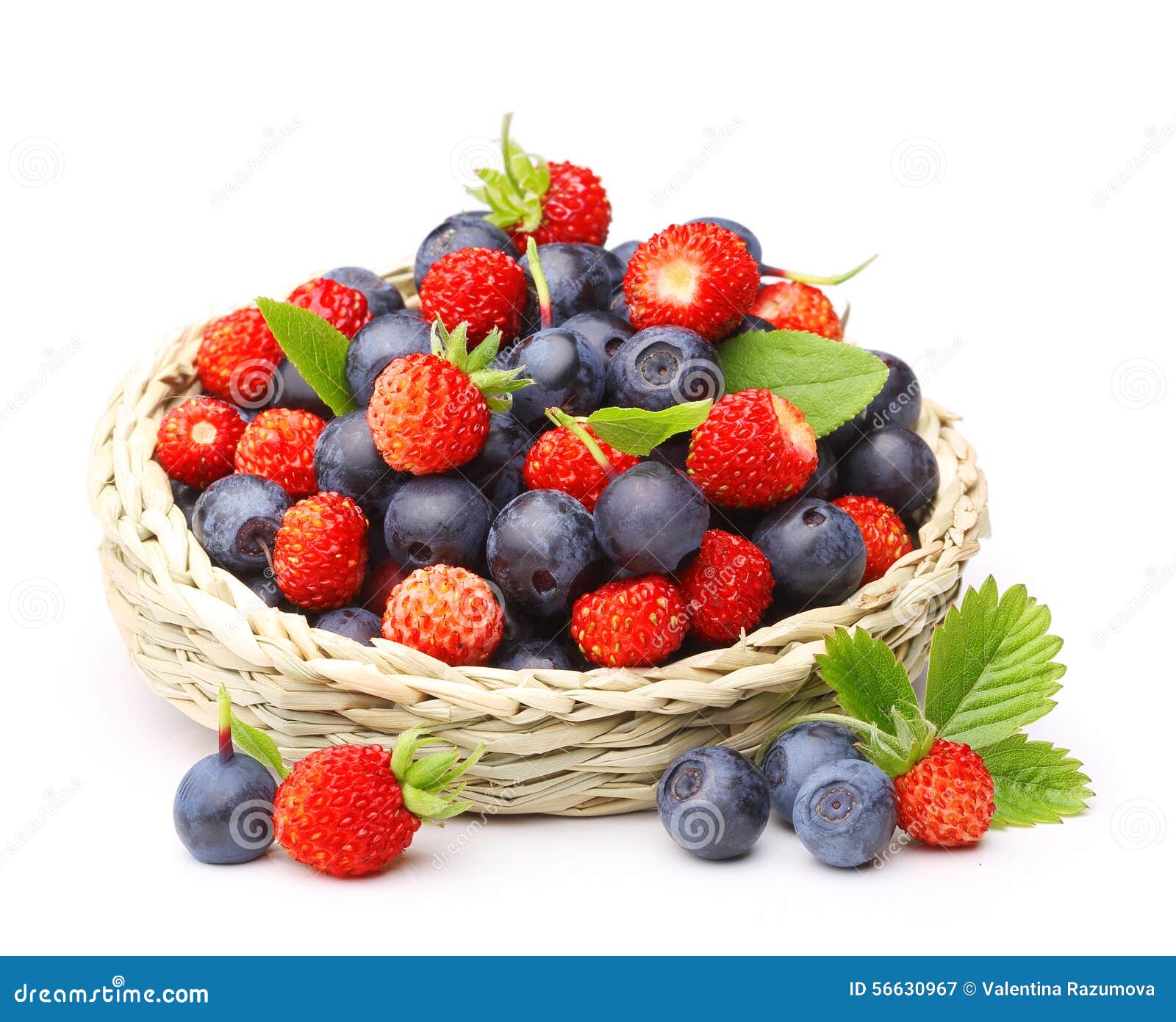 Wild Strawberry and Blueberry Stock Image - Image of circle ...