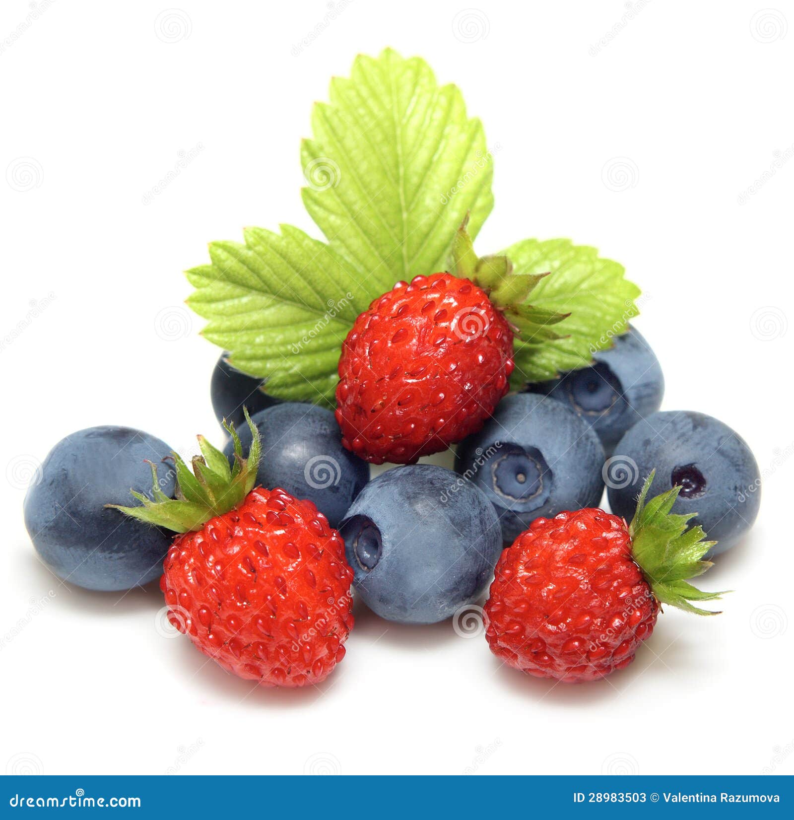 Wild Strawberry and Blueberry Macro Stock Image - Image of blueberry ...