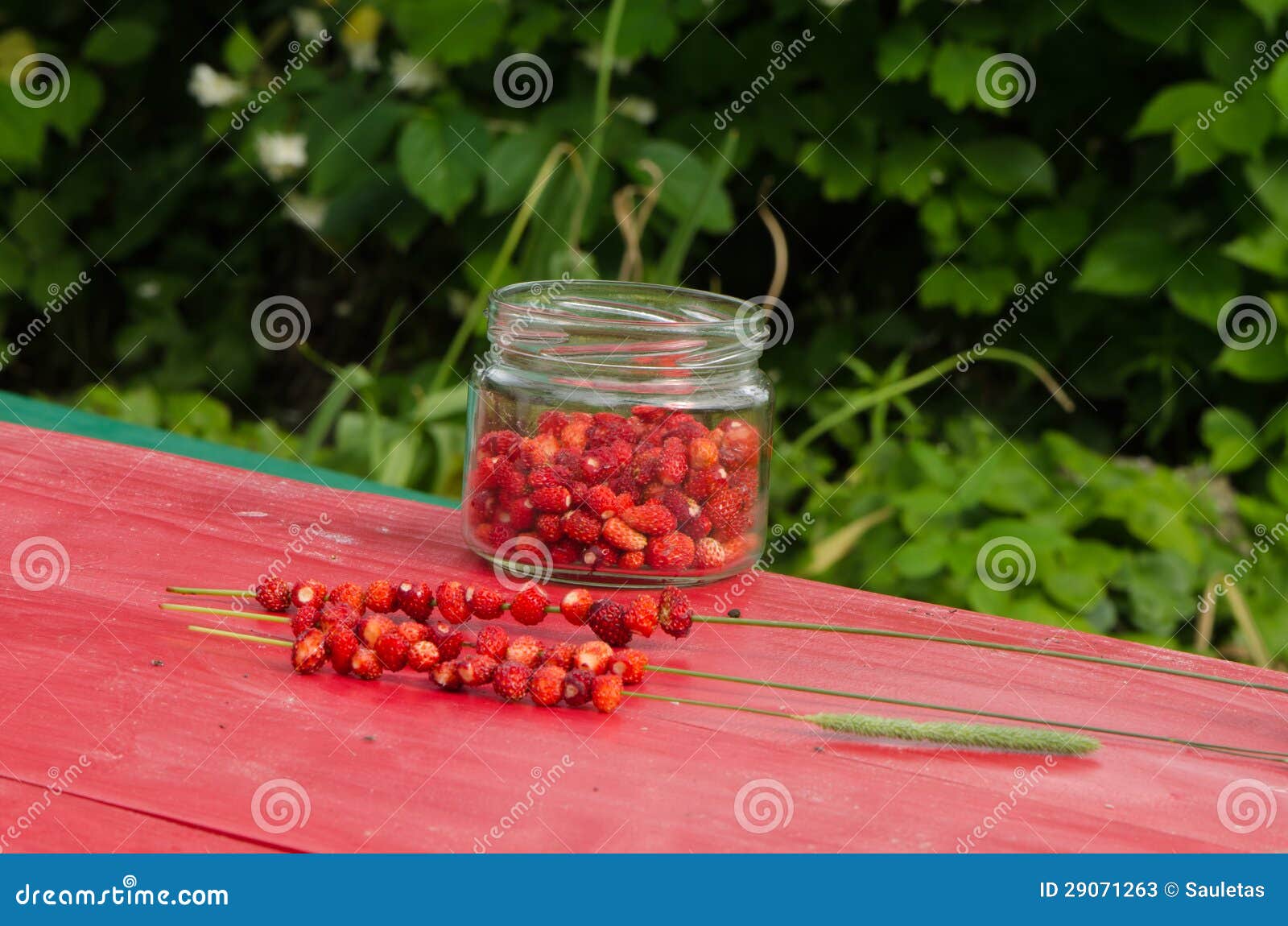 Wild Strawberry Glass Pot String Bent Health Fruit Stock Image - Image ...