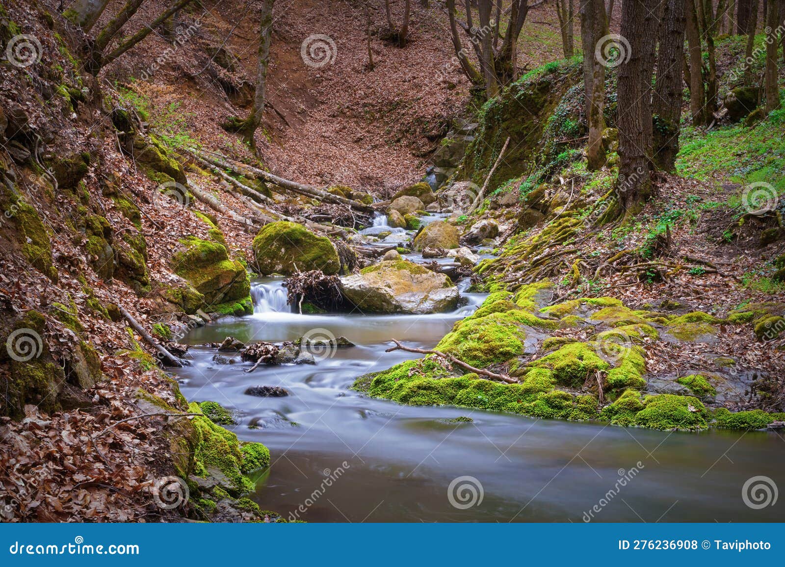 Wild Stream in Apuseni Mountains Stock Photo - Image of splash, stream ...