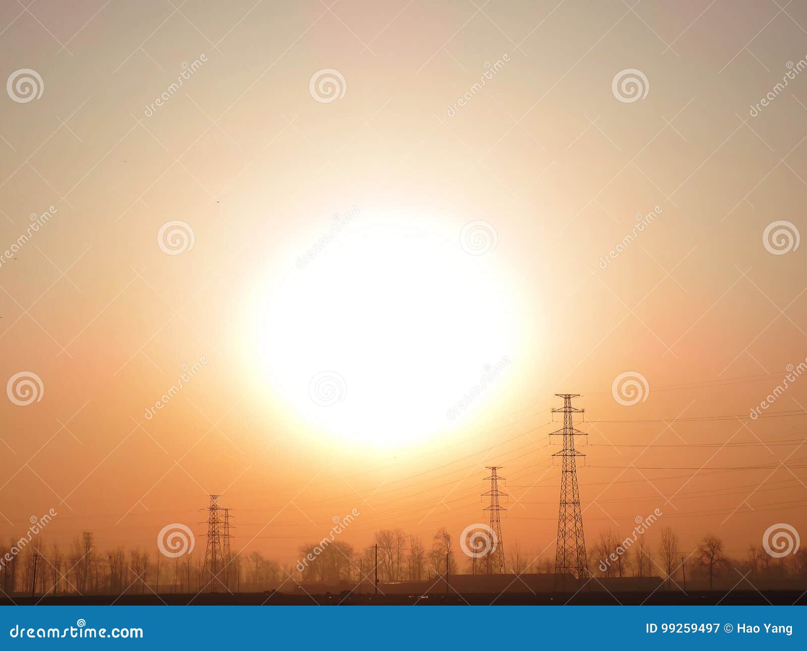 Wild with sun stock image. Image of landscape, wild, calm - 99259497