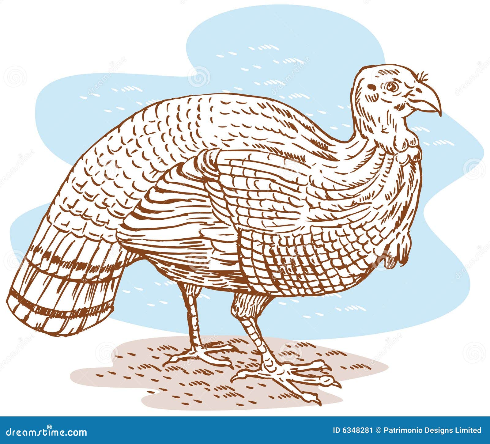 Wild turkey stock illustration. Illustration of turkey - 6348281