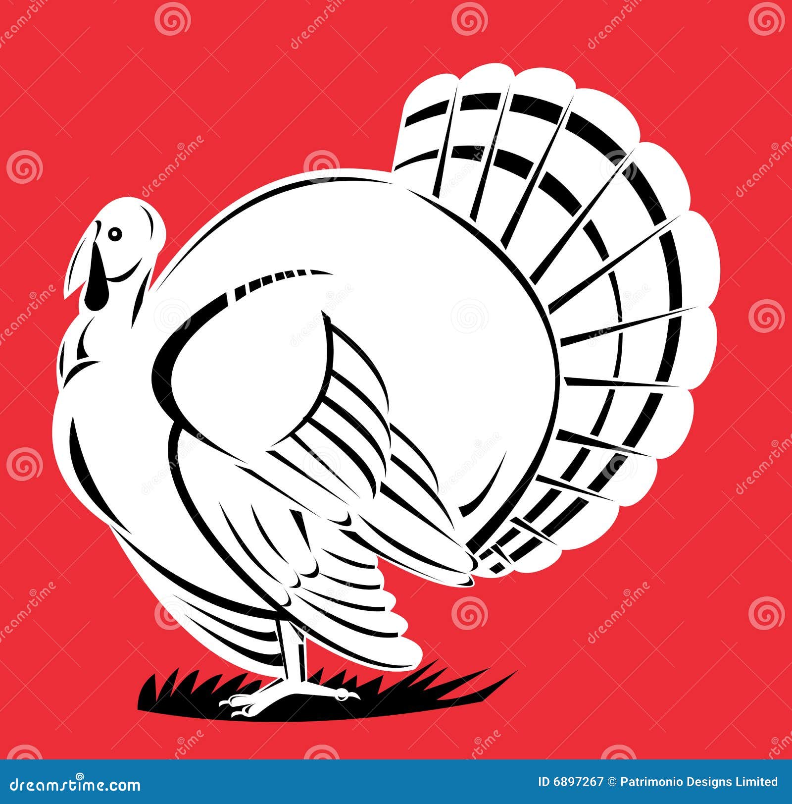 Wild turkey stock vector. Illustration of poultry, thanksgiving - 6897267