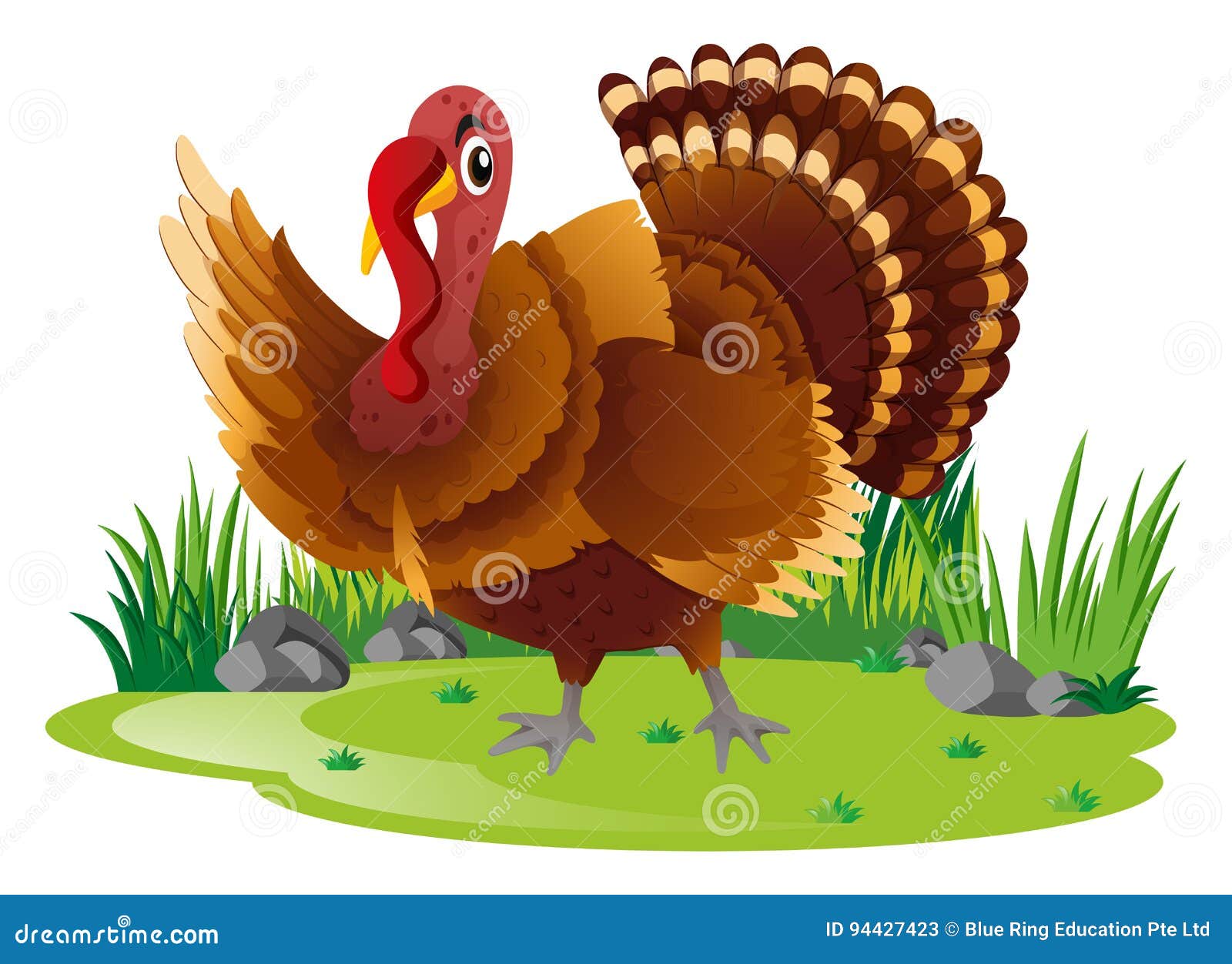 Wild turkey in garden stock vector. Illustration of feather - 94427423