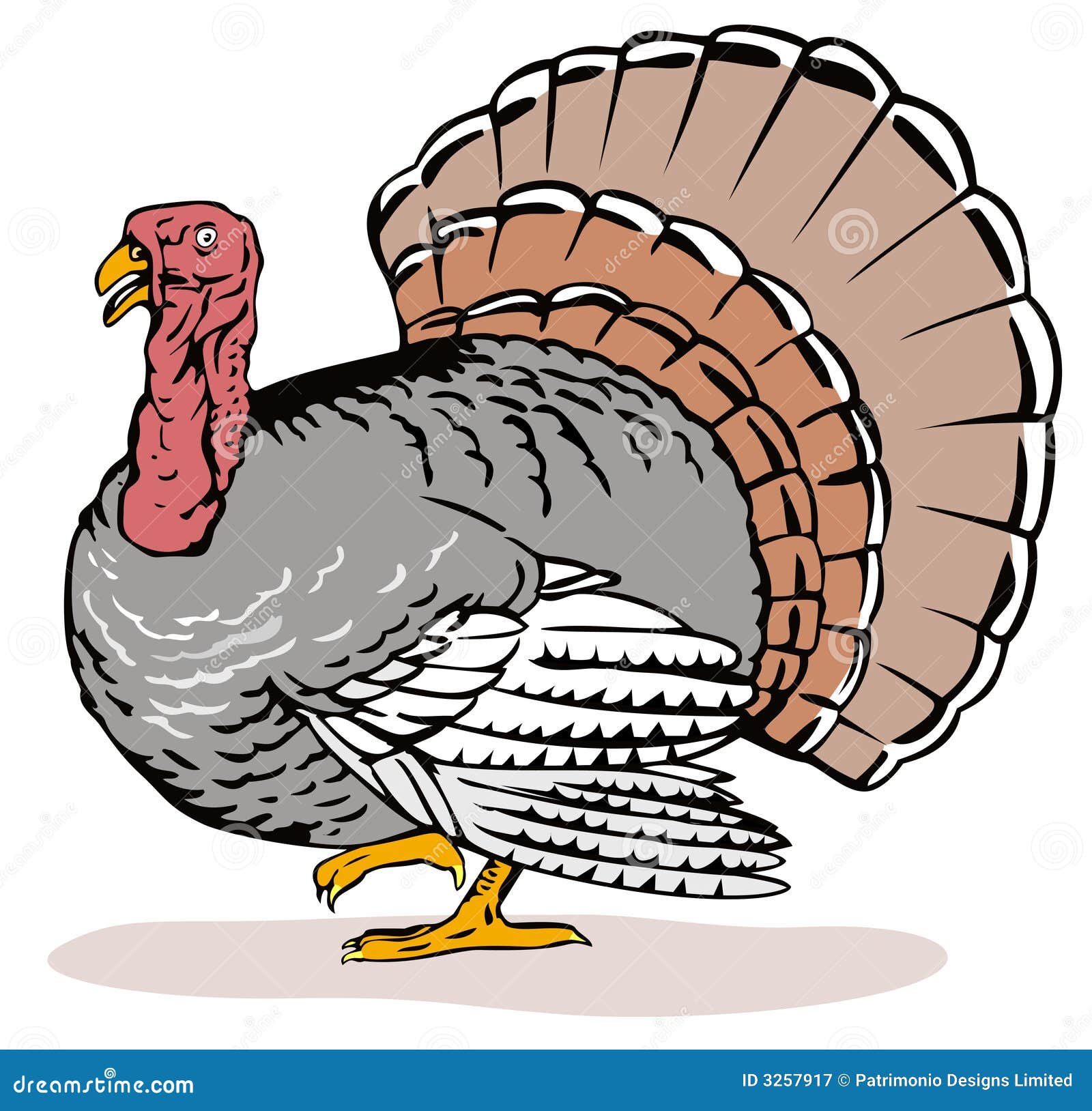 Wild turkey side view stock vector. Illustration of thanksgiving - 3257917
