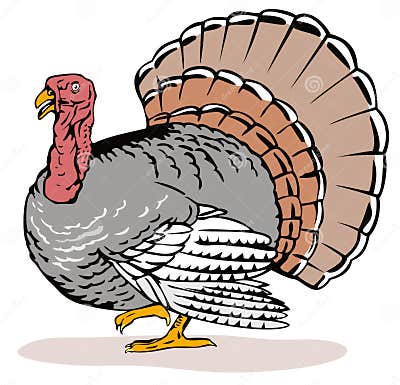 Wild turkey side view stock vector. Illustration of thanksgiving - 3257917