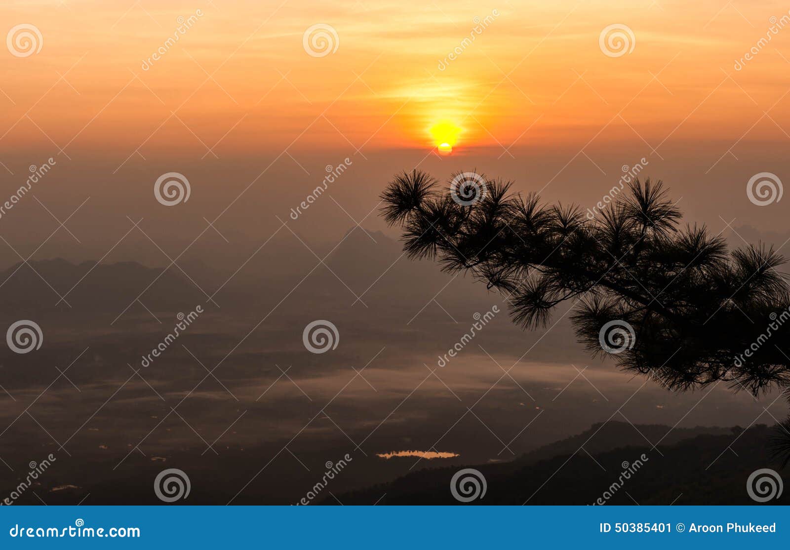 Wild twilight time stock image. Image of black, terrain - 50385401