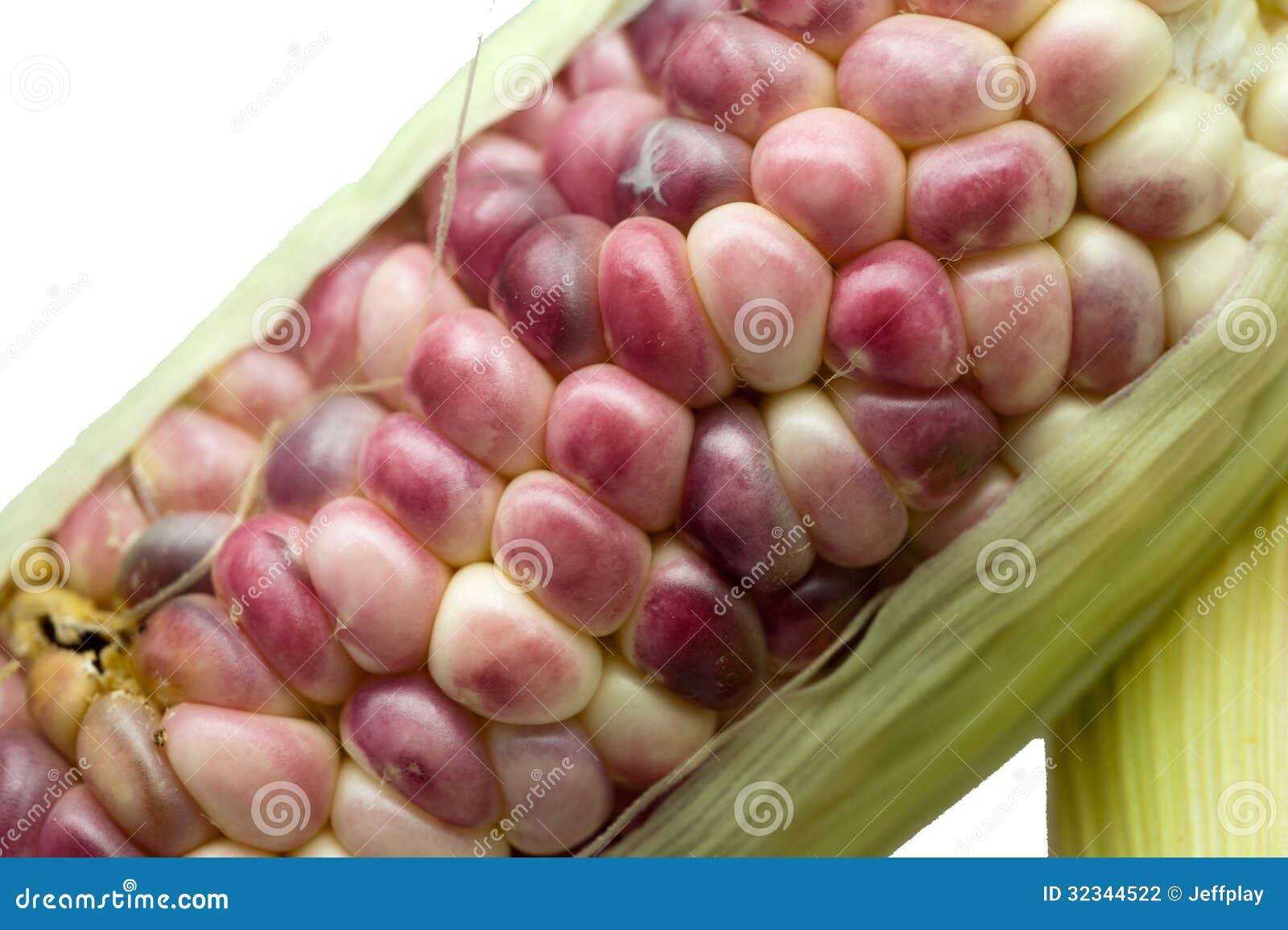 Wild type corn stock photo. Image of type, good, white - 32344522