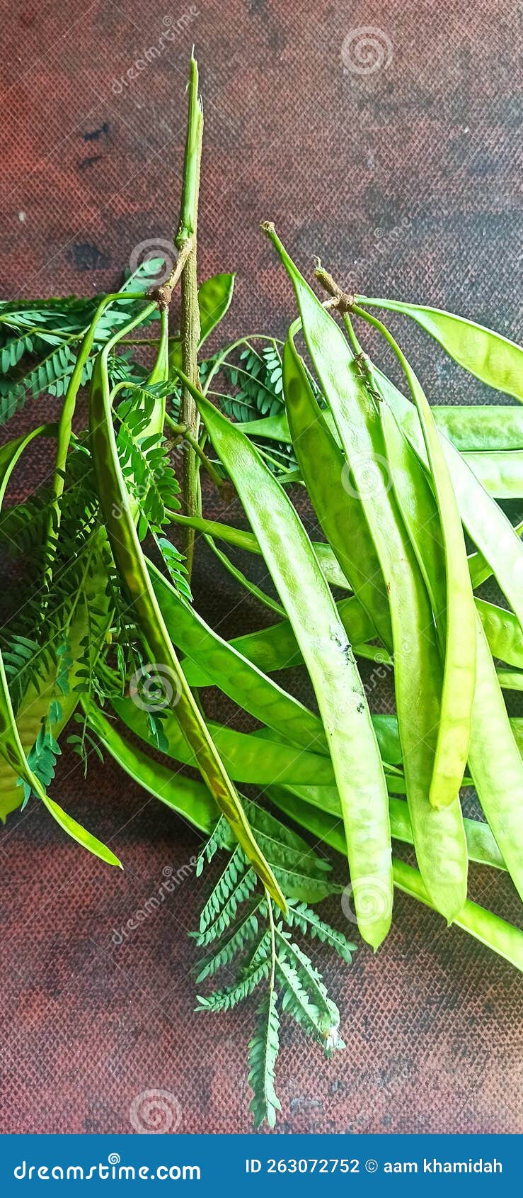 Wild Vegetable Chinese Petai Stock Photo - Image of vegetarian, wild ...