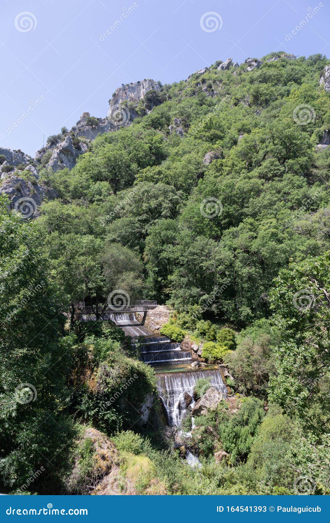 Wild Vegetation in a Mountain in Northern Spain Stock Image - Image of ...