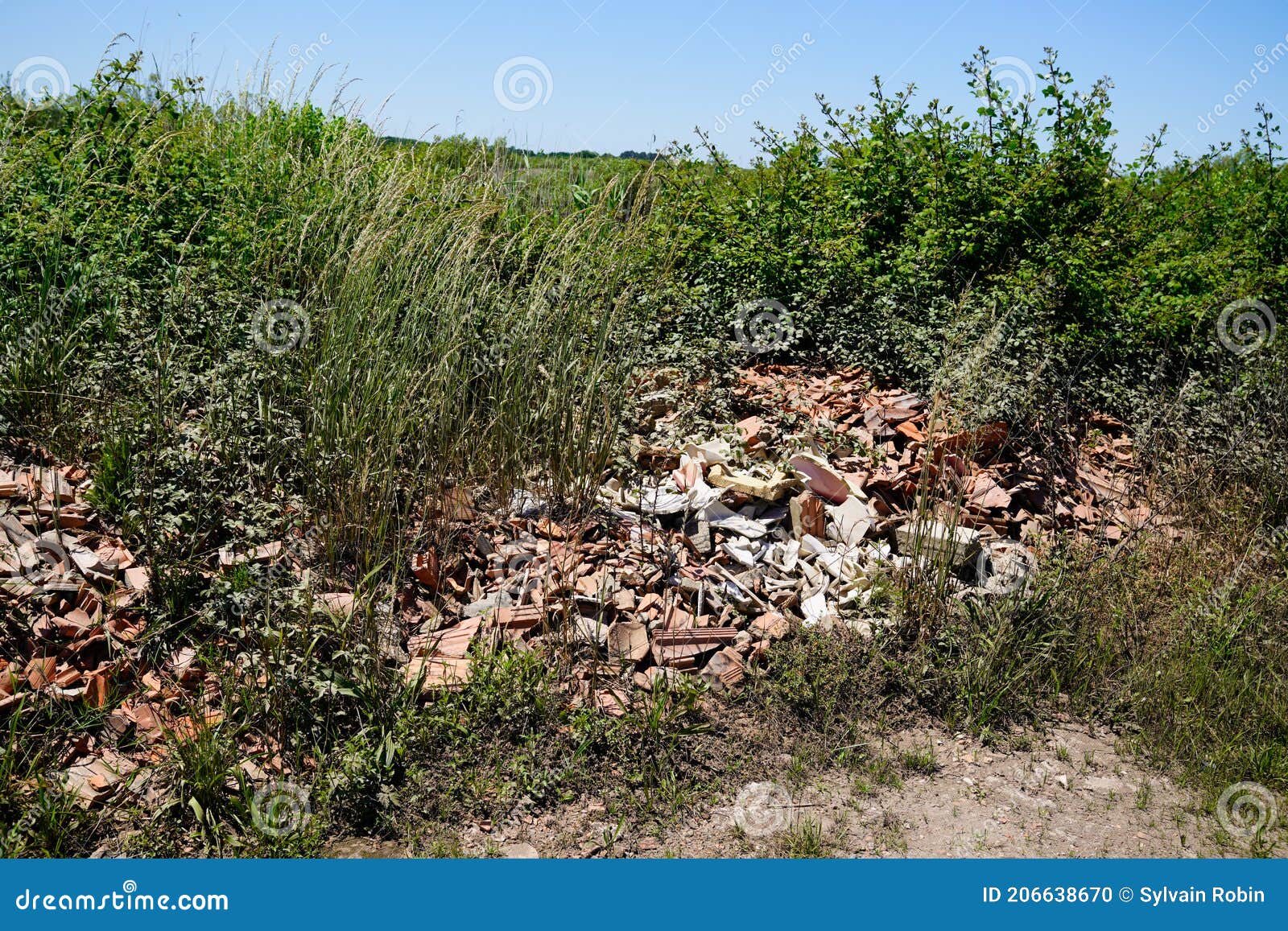 Wild Waste Depot from Construction Site in Natural Area Stock Photo ...