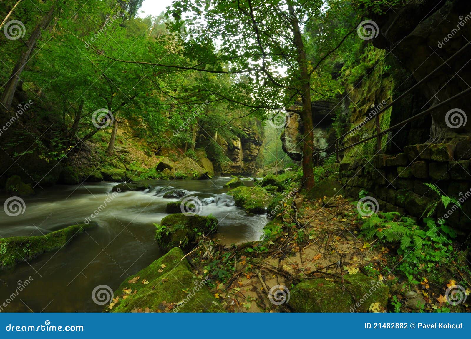 Wild water stock photo. Image of park, rush, beauty, outdoor - 21482882