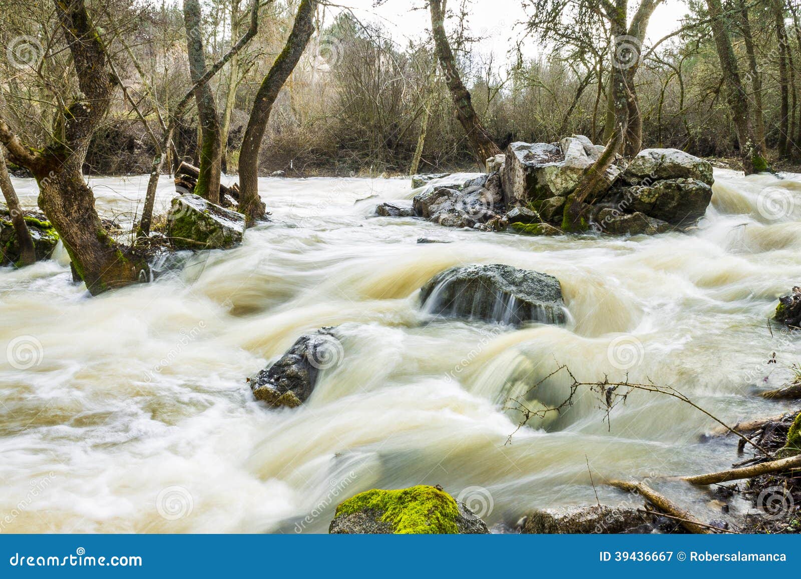 Wild Water stock image. Image of rocks, river, trees - 39436667