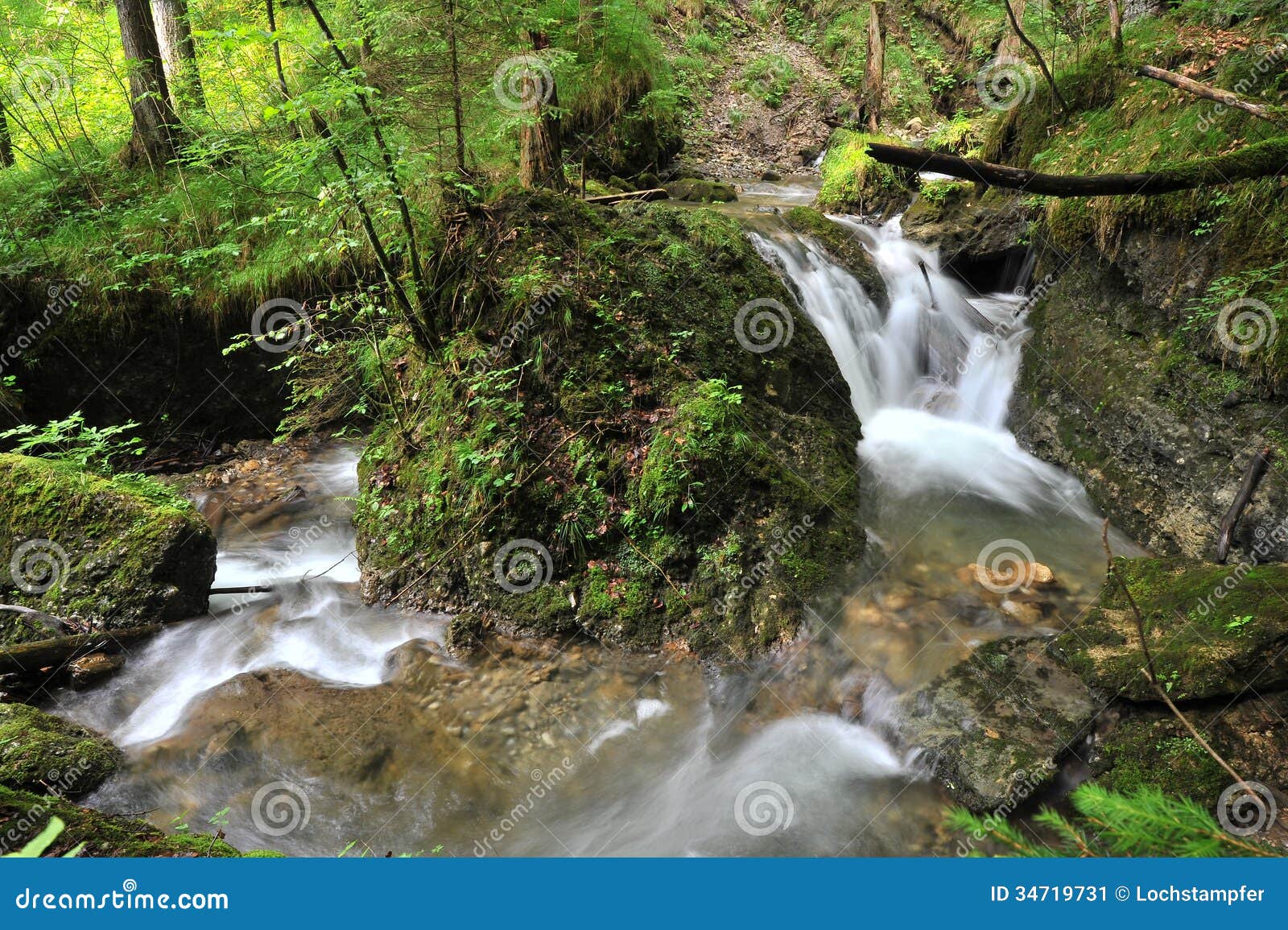 Wild water stock image. Image of cold, frisch, ntur, wasser - 34719731