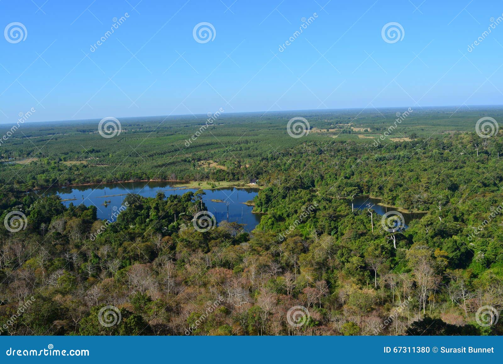 Wild Water Conservation stock photo. Image of trees, forest - 67311380