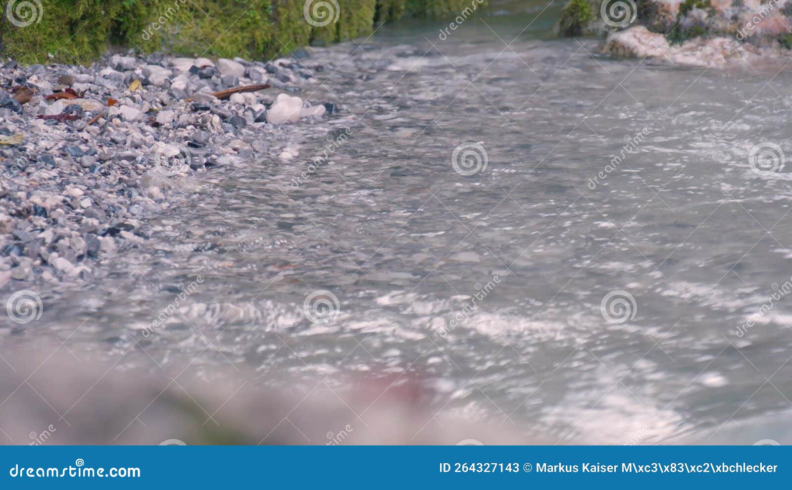 Wild Water at Steyr River Near Hinterstoder Stock Video - Video of ...