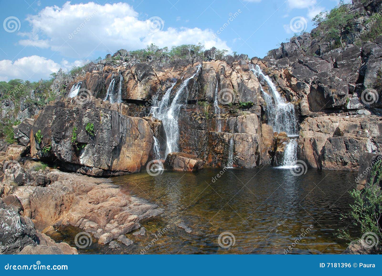 Wild Waterfall stock photo. Image of botanical, freshwater - 7181396