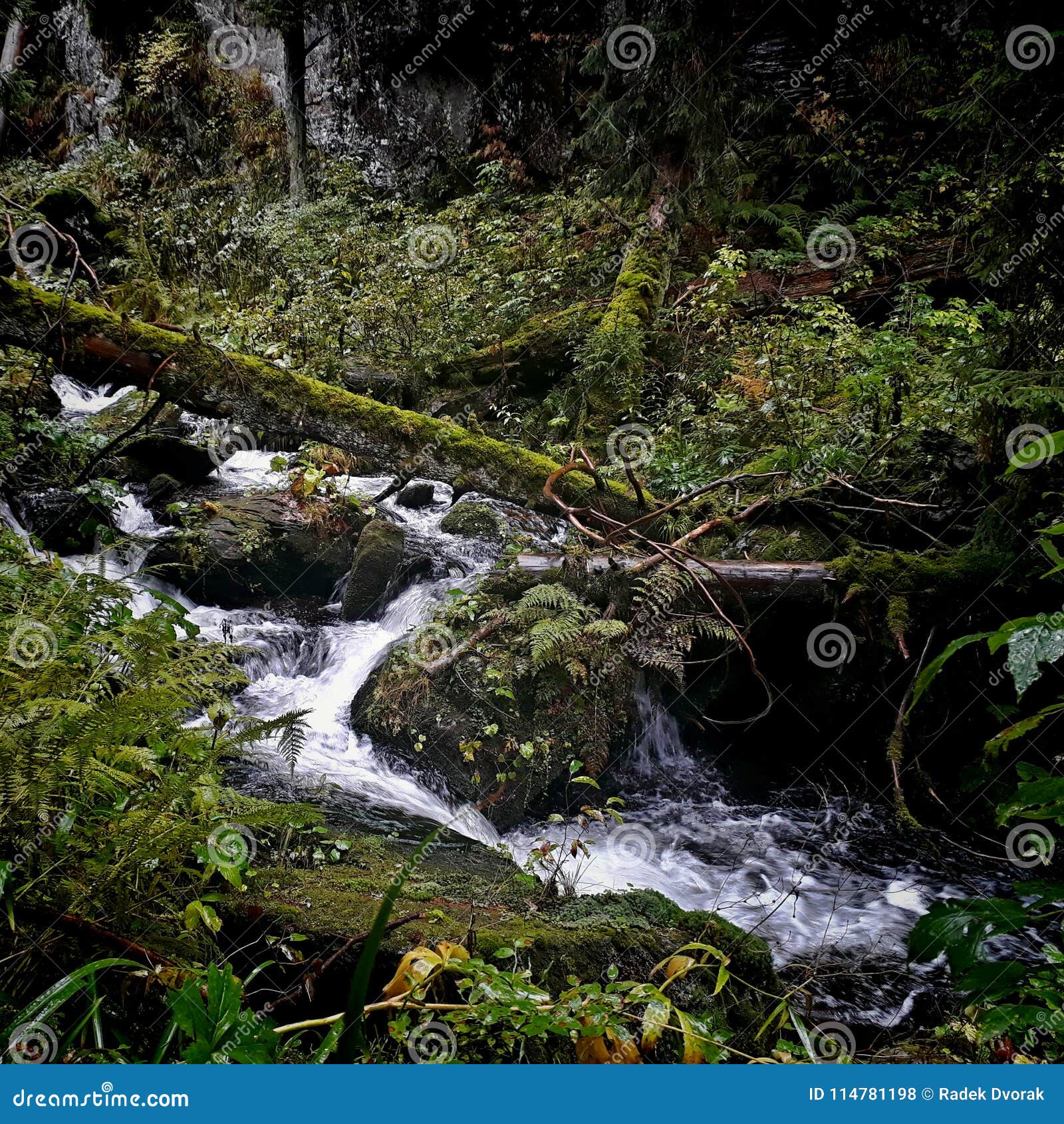 Wild waterfall stock photo. Image of wilderness, mountains - 114781198