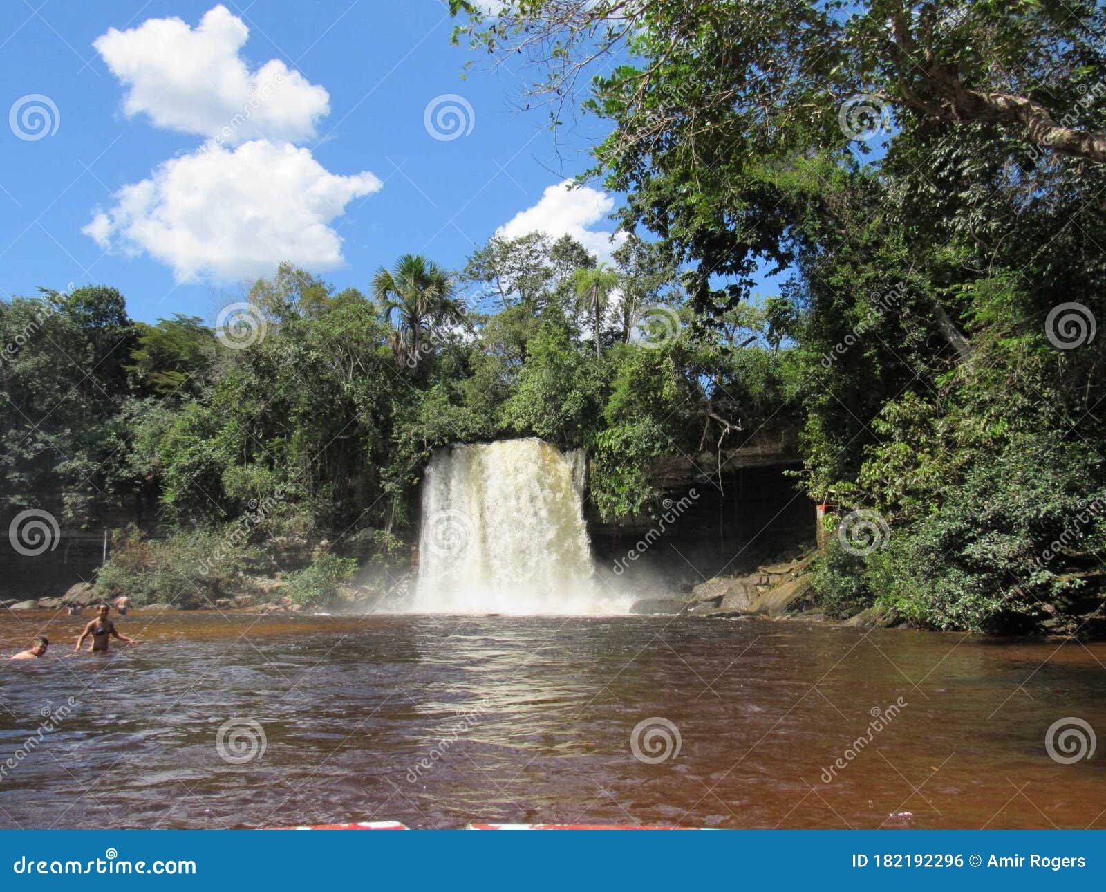Wild Waterfall in West Brazil Stock Photo - Image of pond, tree: 182192296