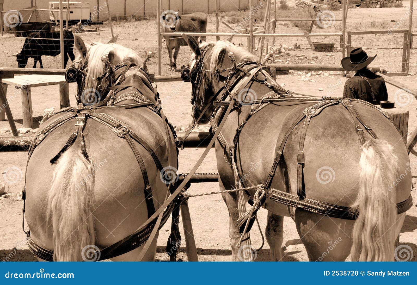 The wild west 1 stock photo. Image of sepia, horses, country - 2538720