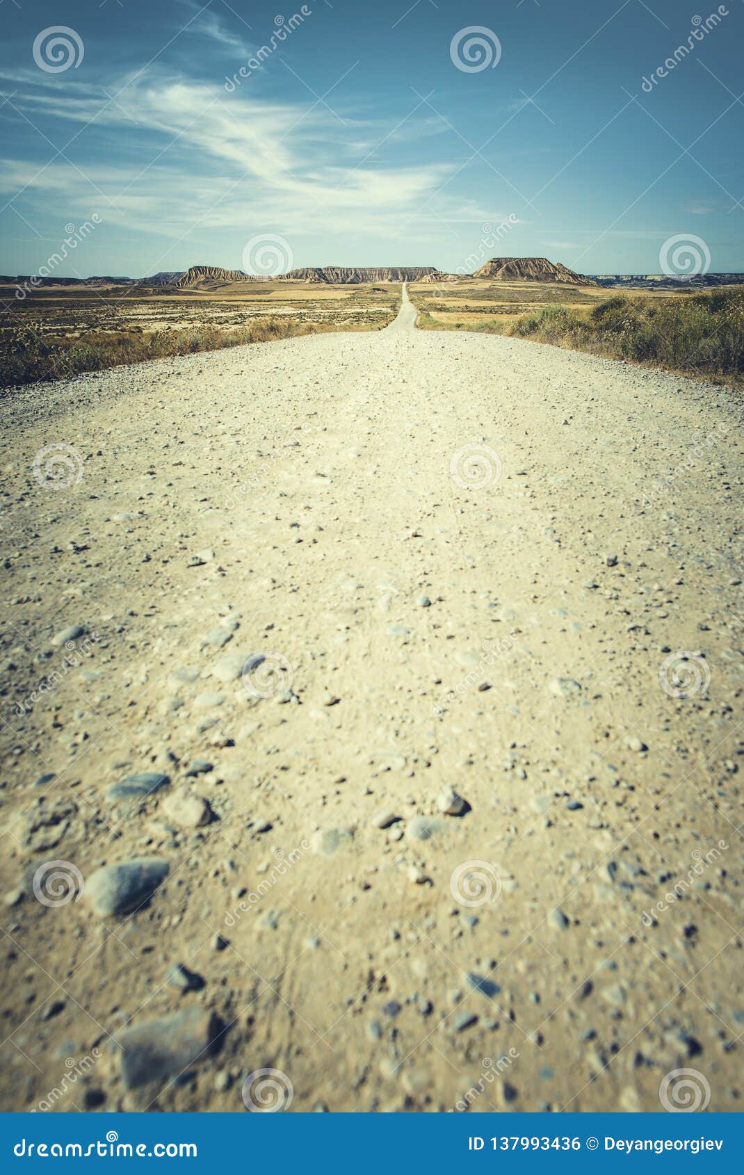 Wild west dirt road stock photo. Image of bank, horizon - 137993436