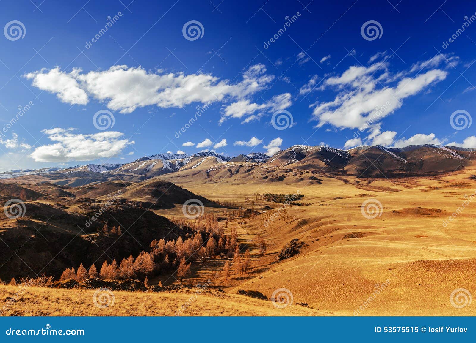 Wild Windy Valley in Altai in Spring Stock Image - Image of grass ...