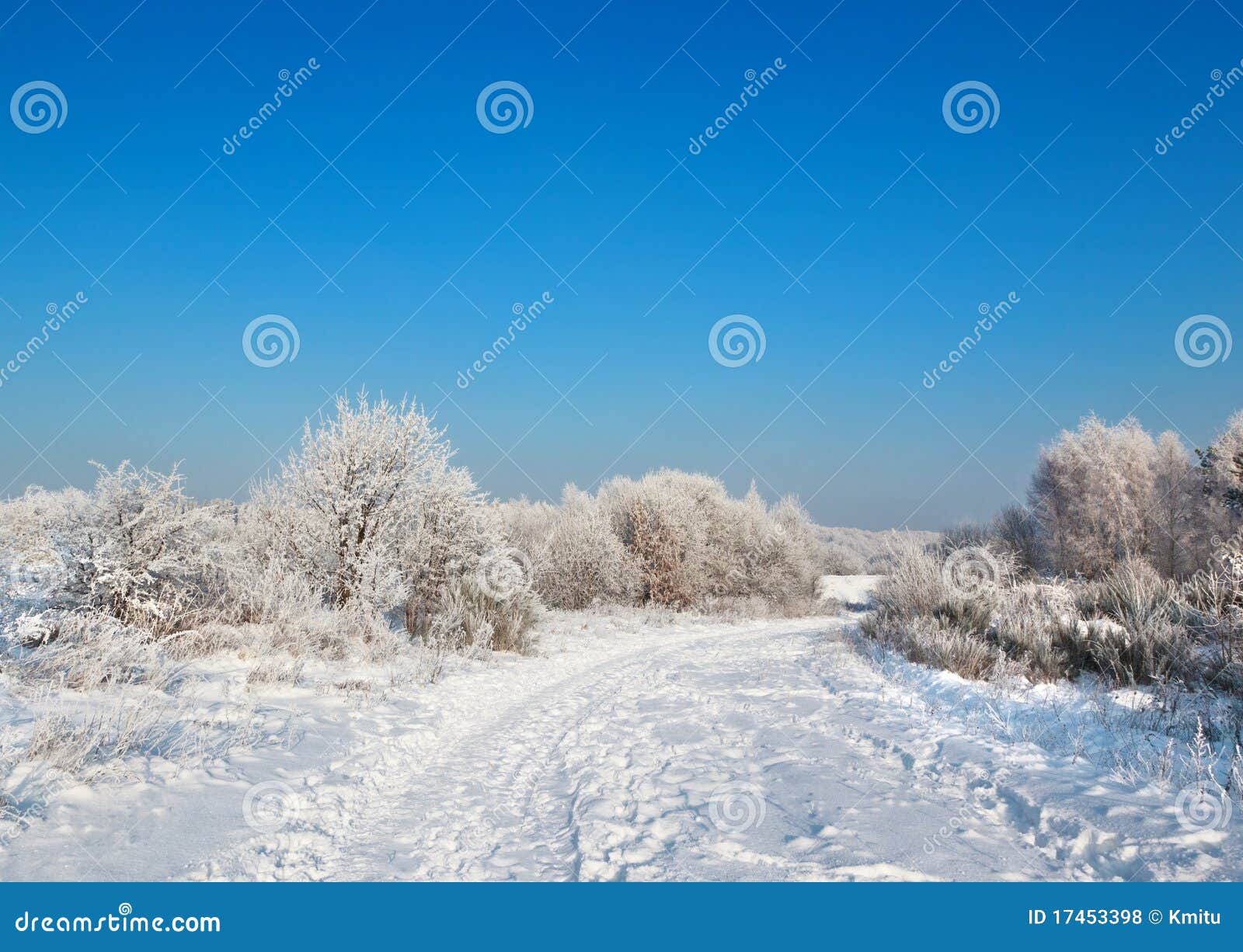 Wild winter scenery stock photo. Image of hoarfrost, countryside - 17453398