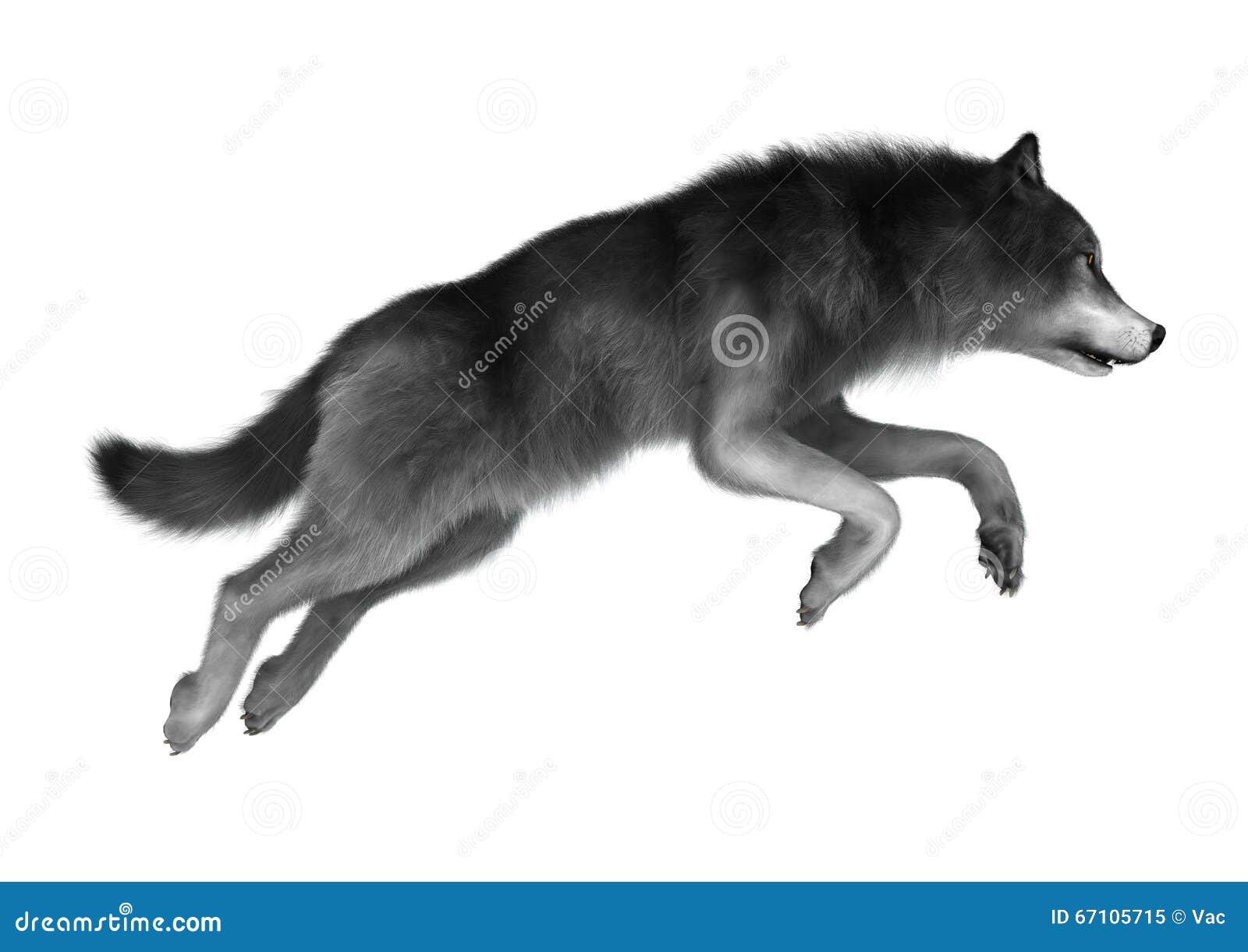 Wolf Jumping