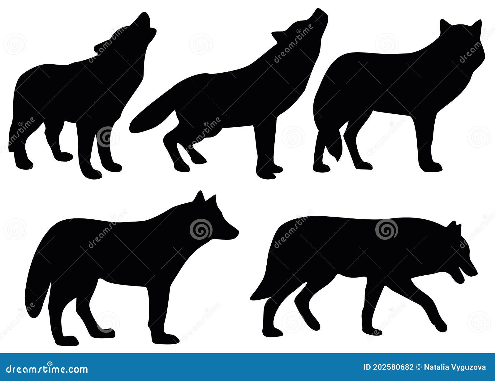 Wild Wolves in a Set in Different Poses. in the Set Stock Vector ...