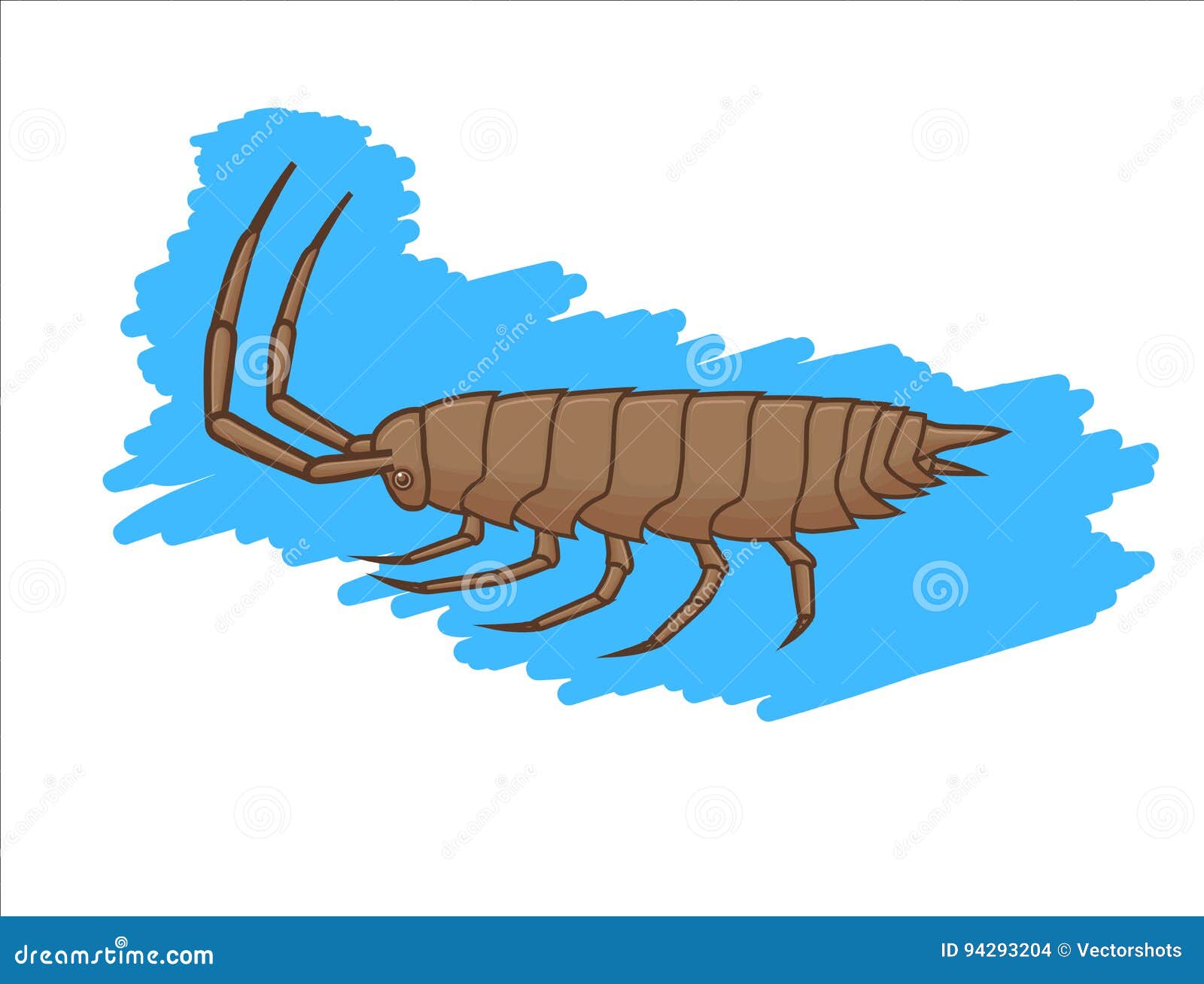 Woodlouse. Vector Illustration In Cartoon Style On A White Background ...
