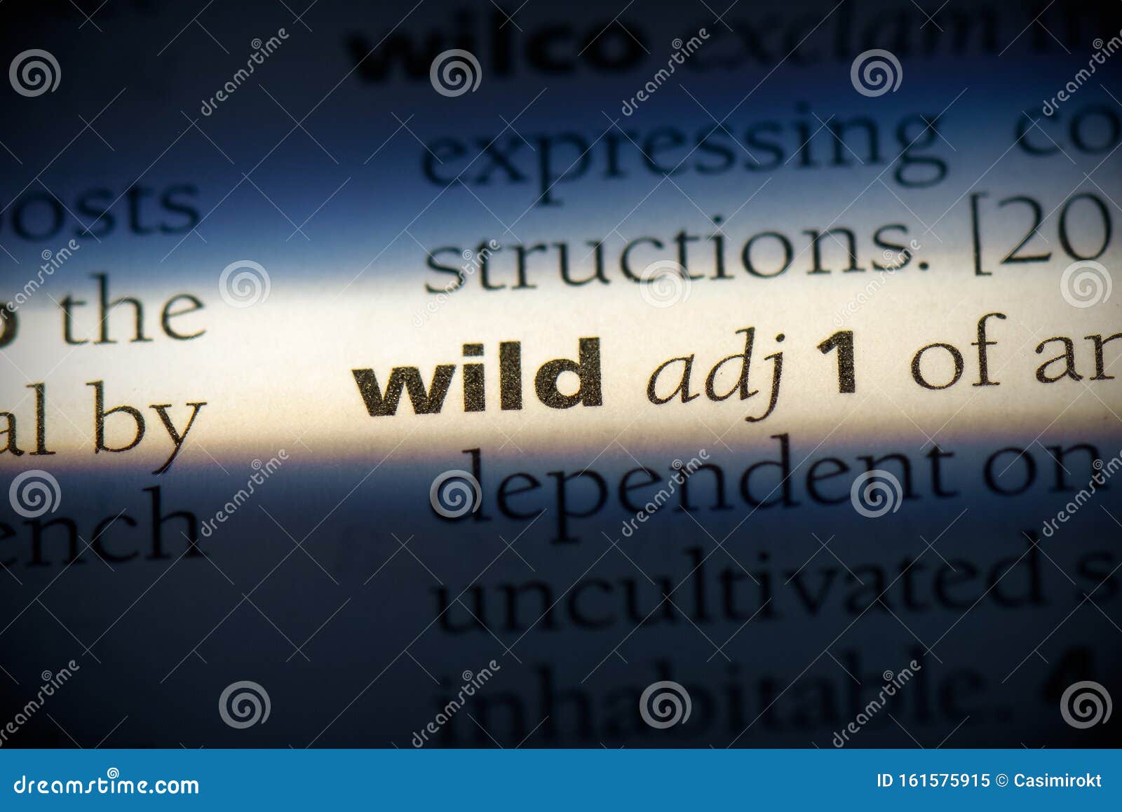 Wild stock image. Image of paper, english, meaning, definition - 161575915