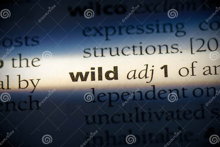 Wild stock image. Image of paper, english, meaning, definition - 161575915