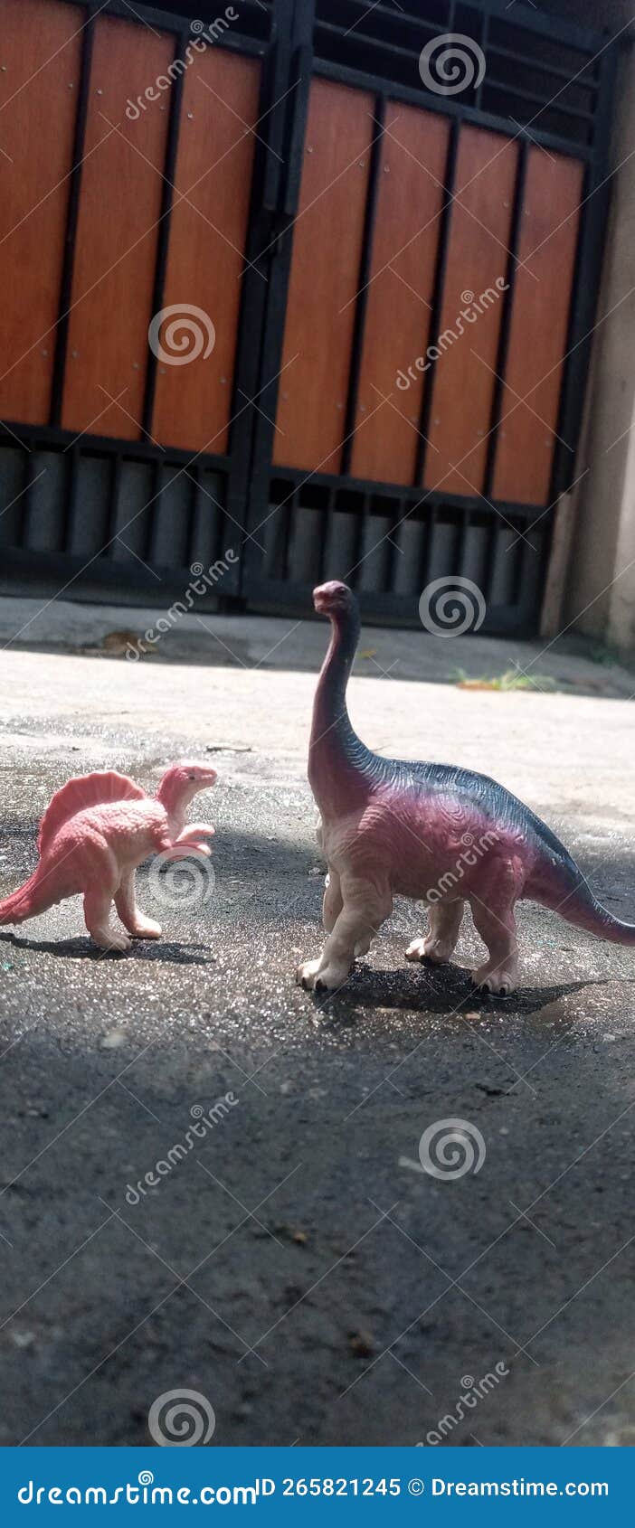 Wild world animals stock image. Image of wild, wildlife - 265821245