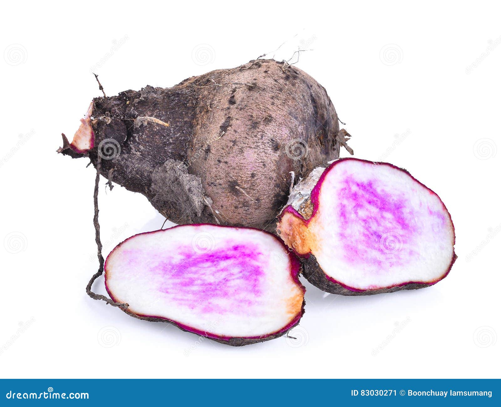 Wild Colocasia Or Elephant- Ear Or Cocoyam Growing In A Hole In The ...