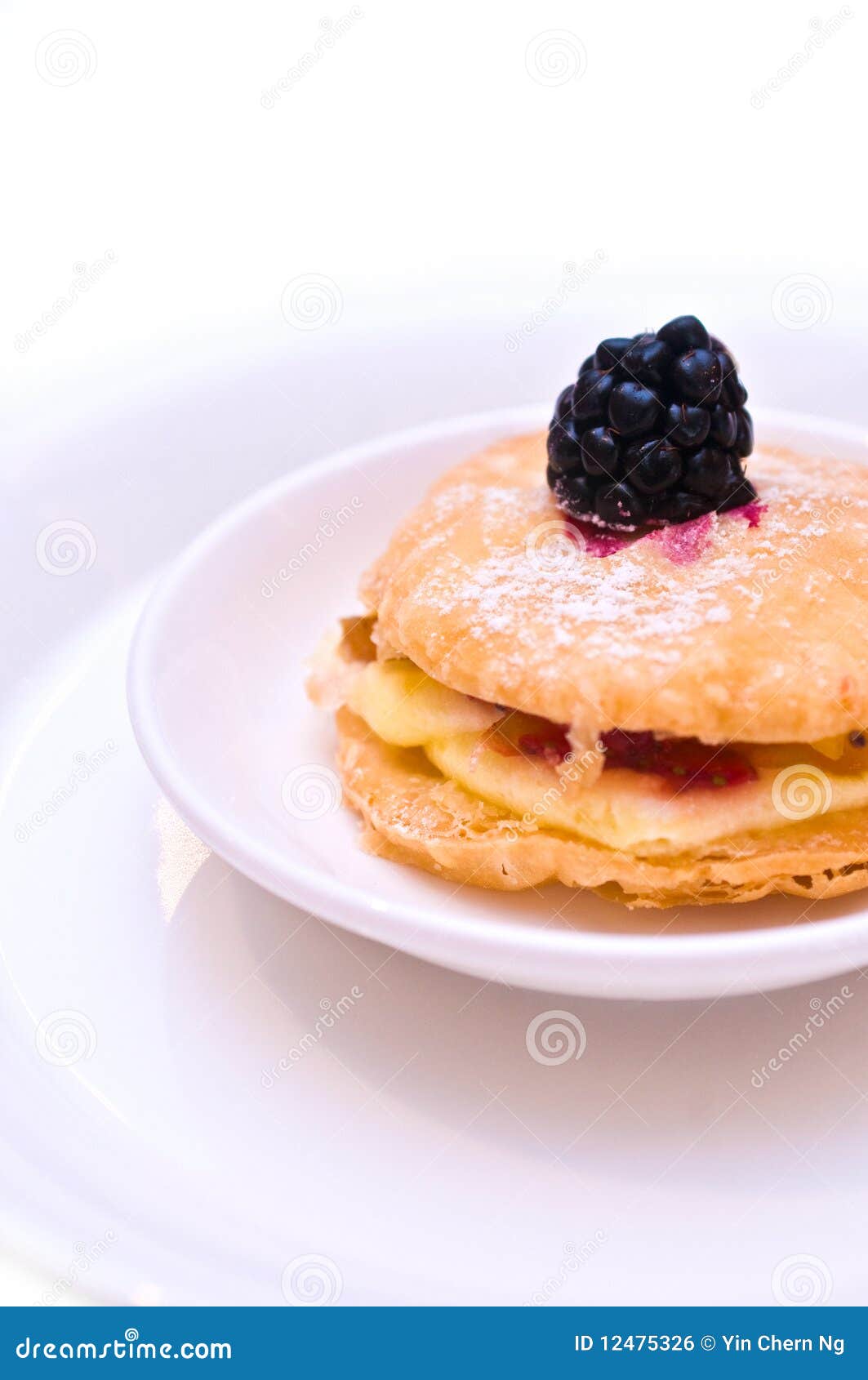 Wildberry Pastry stock photo. Image of dessert, delicious - 12475326