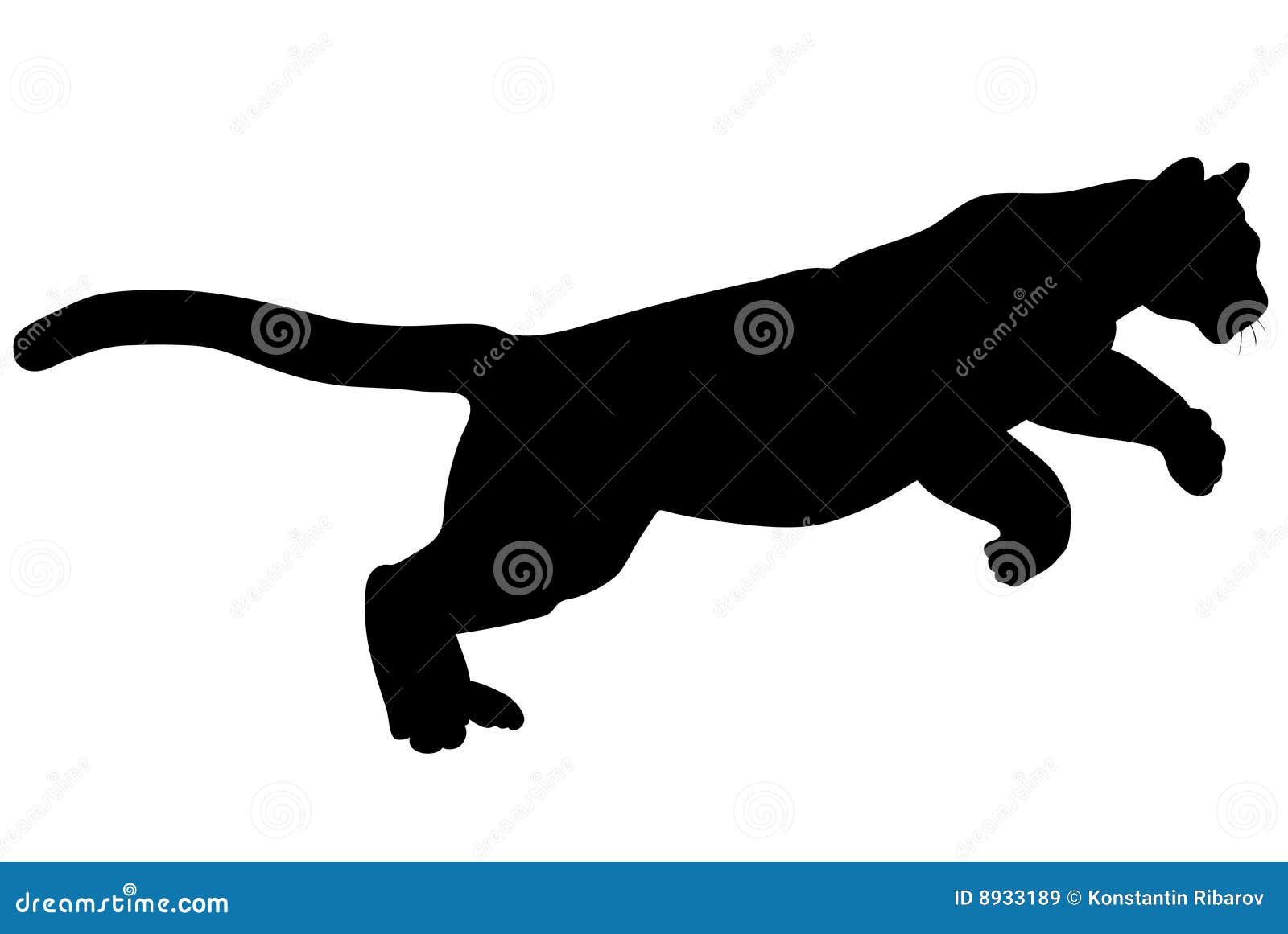 Wildcat stock illustration. Illustration of jump, wild - 8933189