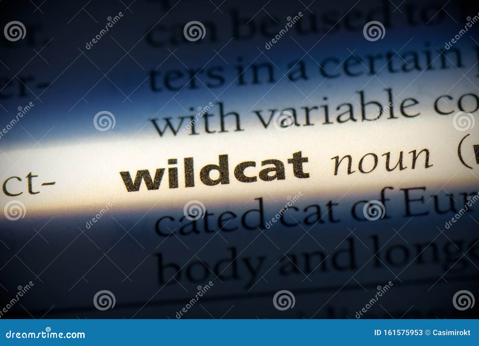 Wildcat stock image. Image of english, writing, printed - 161575953