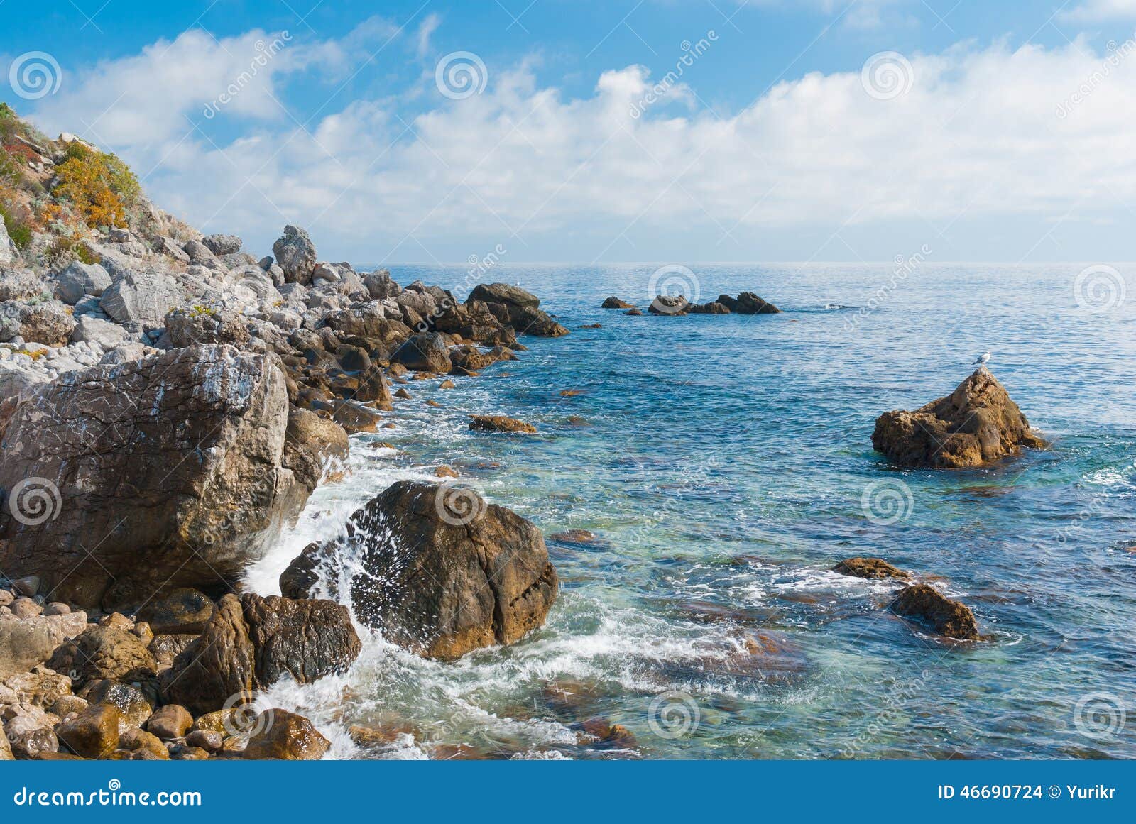 Wilde De Zwarte Zee Water-scape-geeft Water Stock Foto - Image of dier ...